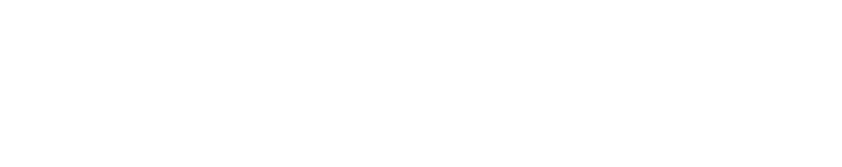 Telpo T20 Ticket Validator